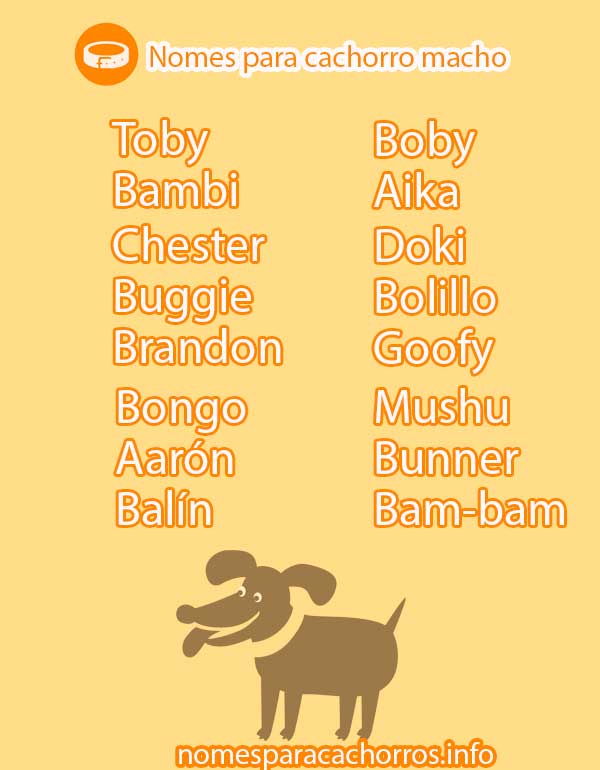 Nomes Para Cachorro Macho 460 Nomes Nomesparacachorros info